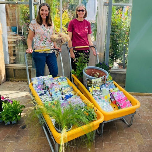 Hannah’s Top Spring Bulb Tips– Perrywood