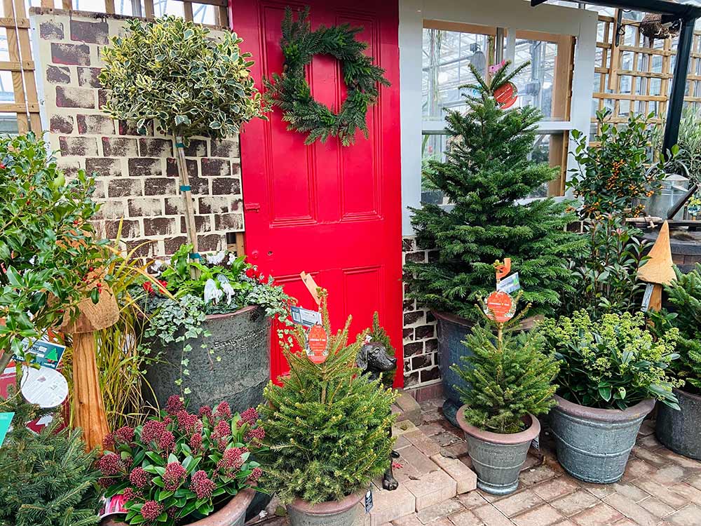 ‘How to’? Christmas Up Your Doorstep!– Perrywood