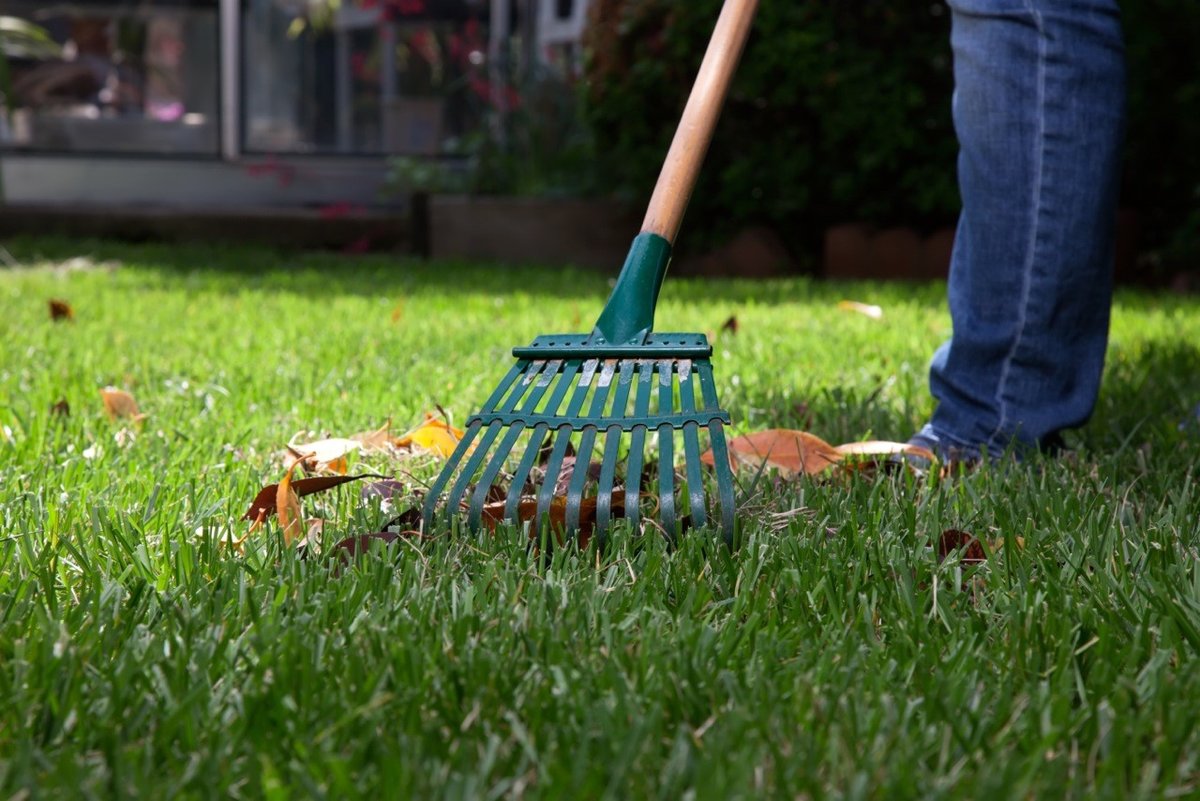 ‘How to’? Take Care of your Lawn in Autumn & Spring– Perrywood