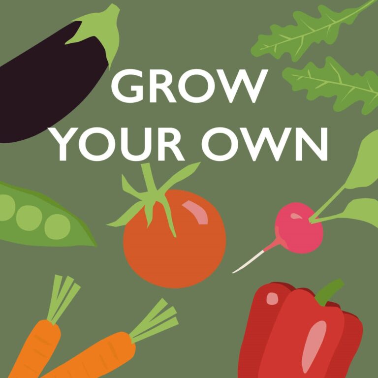 ‘How to’? Grow Your Own Vegetables– Perrywood