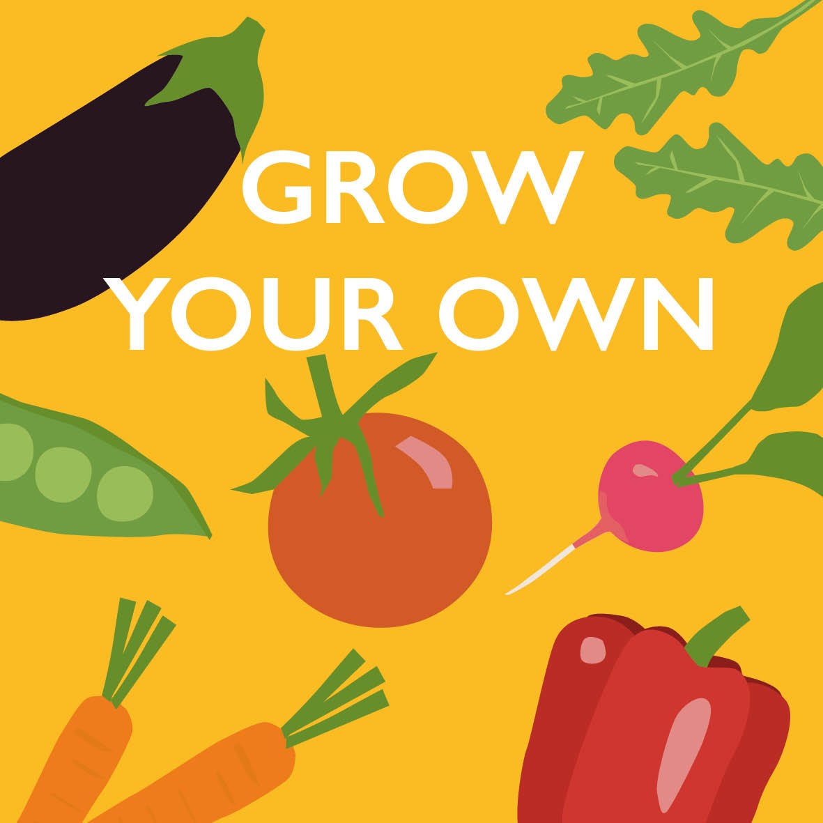 ‘How to’? Grow Your Own Vegetables– Perrywood