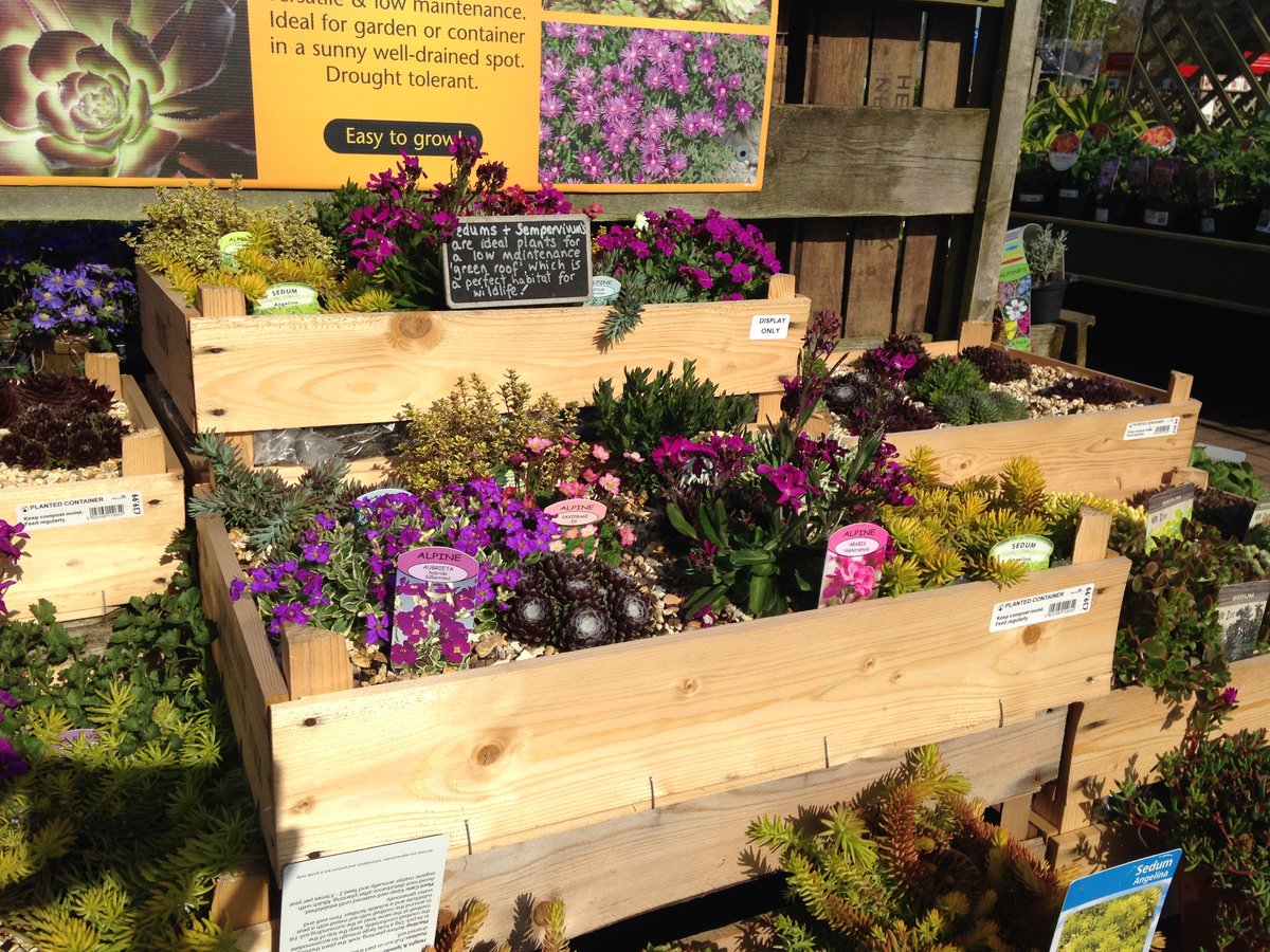 'How to'? Create a mini alpine landscape– Perrywood