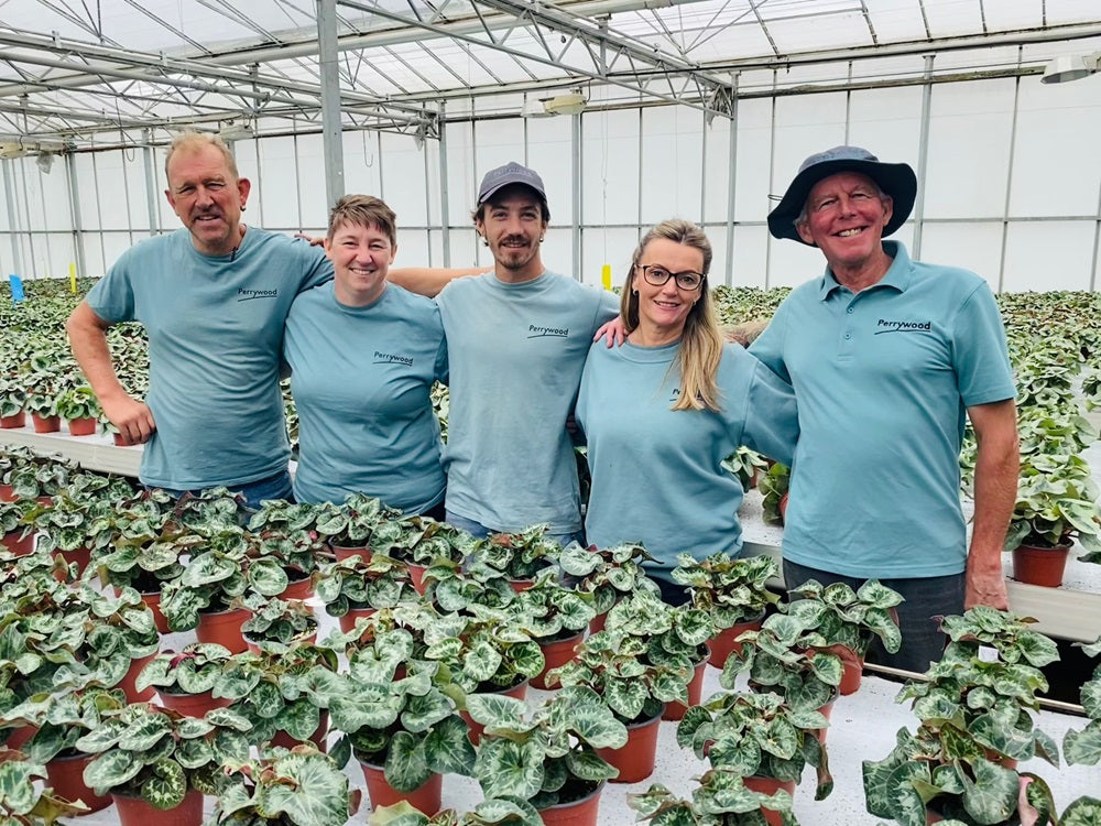 Time to refresh your plants– Perrywood