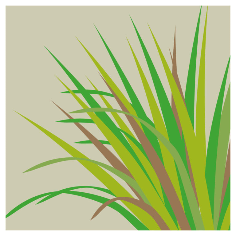‘How to’? Create a Sensory Space in your Garden– Perrywood