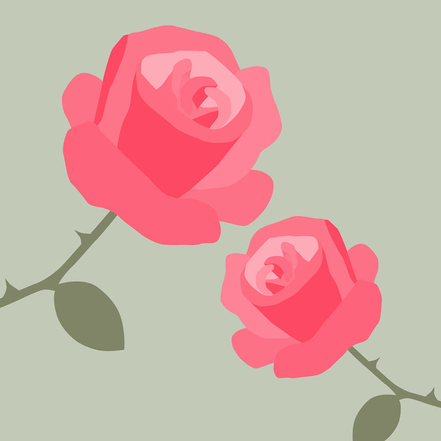 ‘How to’? Care for your Roses– Perrywood