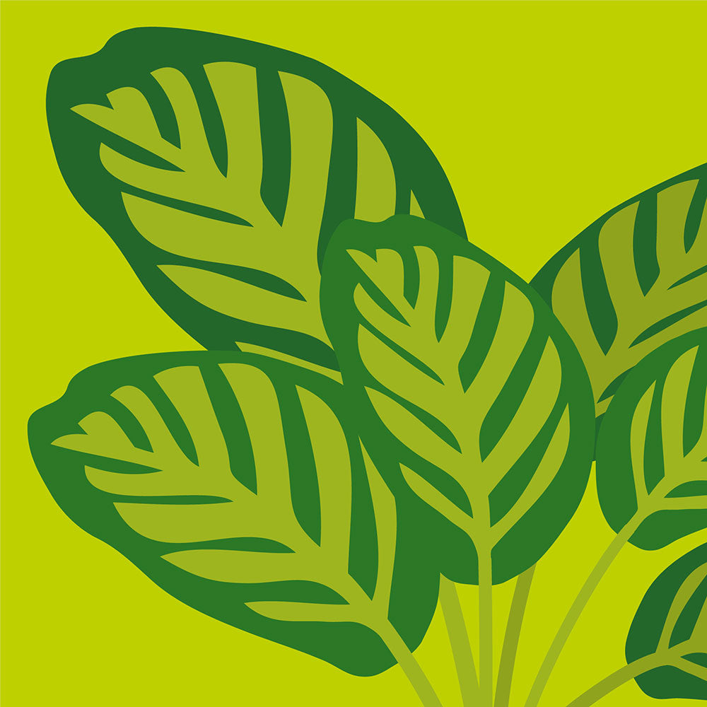 ‘How to’? Green Up Your Home– Perrywood