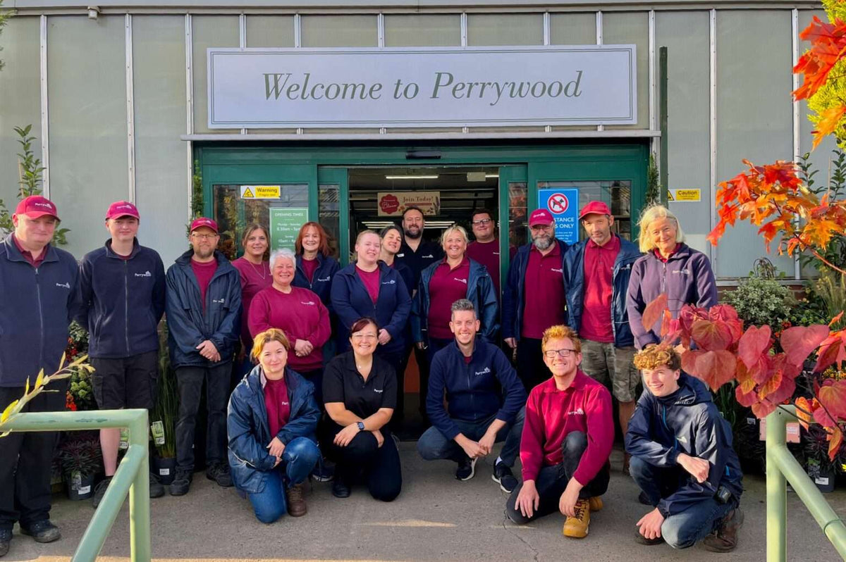 It’s Sudbury’s 5 Year Anniversary!– Perrywood