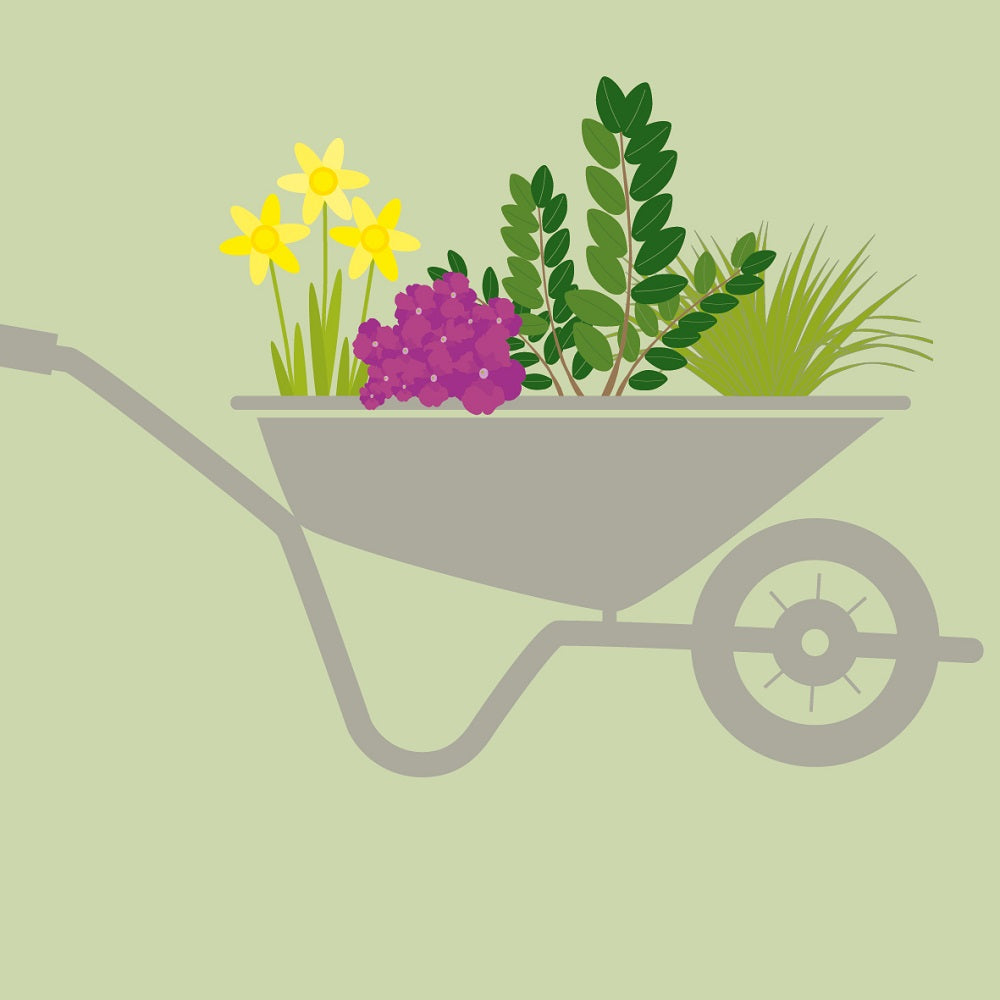 ‘How to’? Get Growing– Perrywood