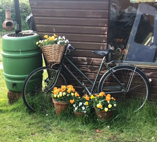 ‘How to’? Get Growing with our Team – Nettie– Perrywood