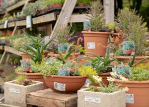 ‘How to?’ Create your own Alpine Container– Perrywood