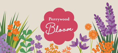 Bloom Loyalty Programme– Perrywood