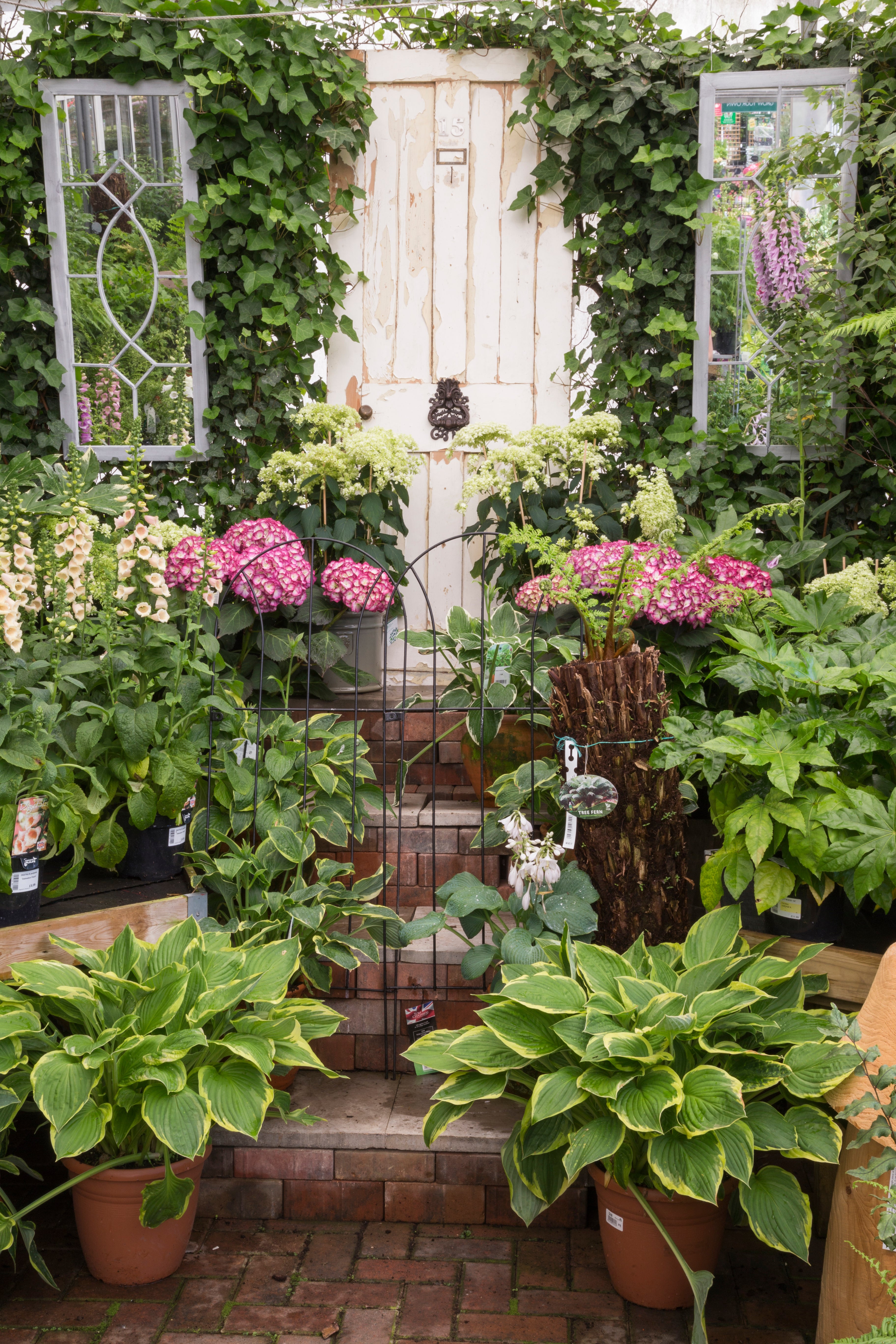 5 Year Hardy Plant Guarantee– Perrywood