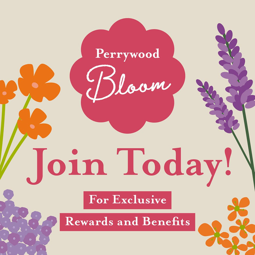Bloom Loyalty Programme– Perrywood